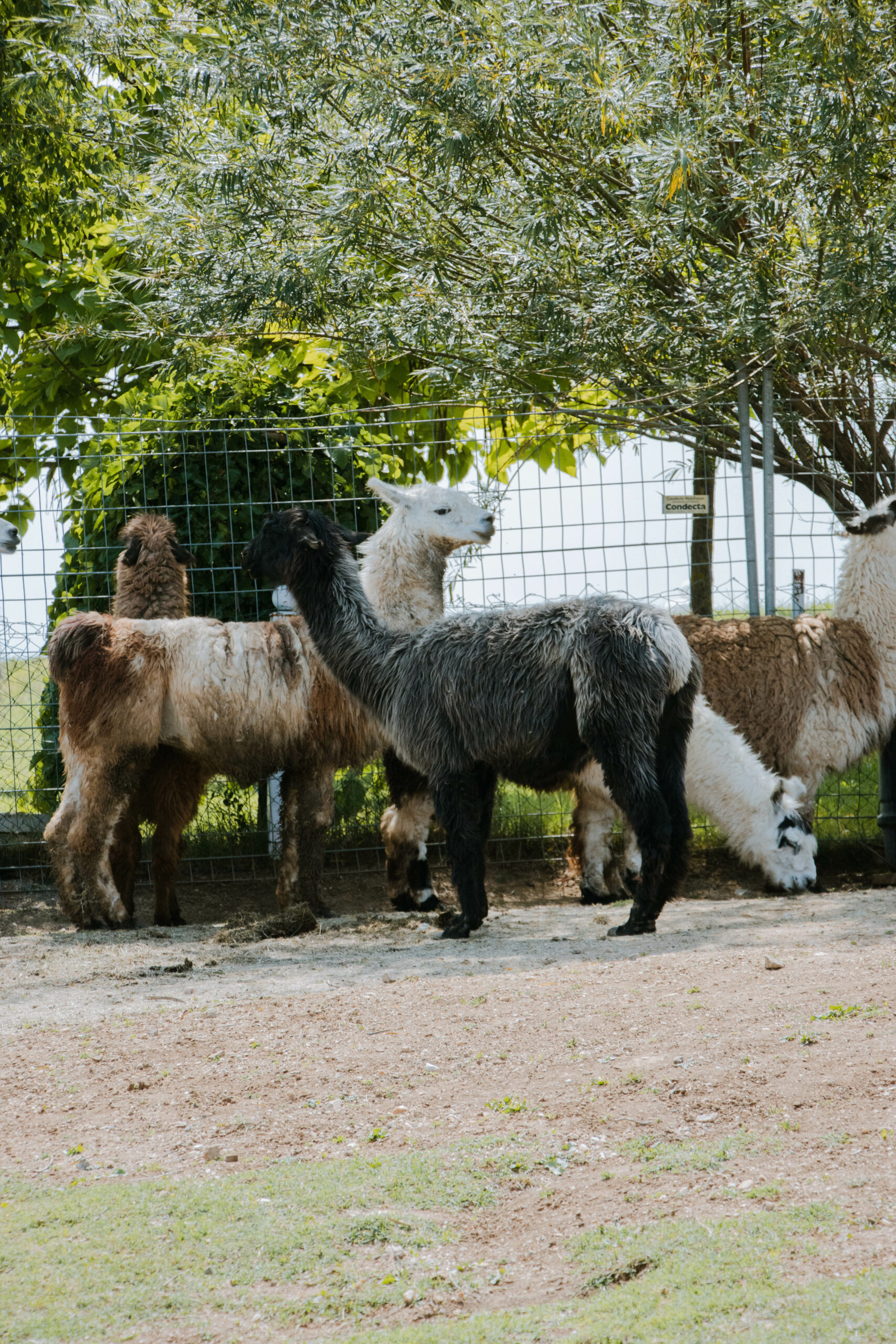 Ranch & Rekreacion - Vali Ranch Resort & Congress Center